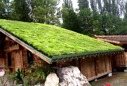 Petit toit vert sur cabanon - Construction Félix Archambault ...